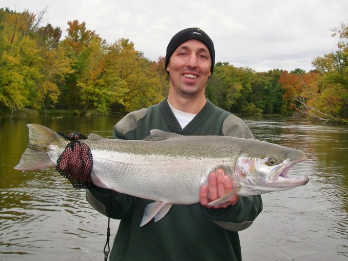 Lower Manistee River Below Tippy Dam Steelhead Fly Fishing - Current ...