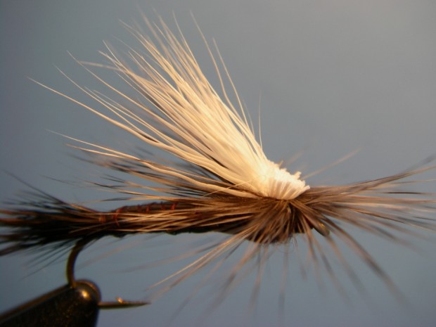 Tilt-Shoot Iso Dry - Isonychia Fly Pattern - How to tie