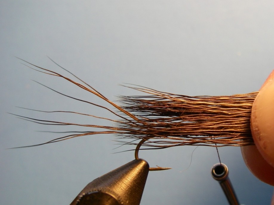 Tilt-Shoot Iso Dry - Isonychia Fly Pattern - How to tie