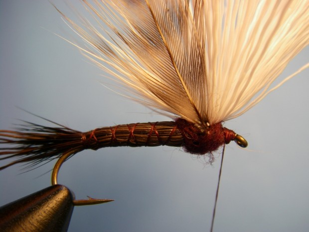 Tilt-Shoot Iso Dry - Isonychia Fly Pattern - How to tie