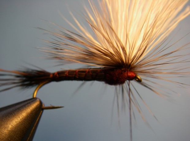 Tilt-Shoot Iso Dry - Isonychia Fly Pattern - How to tie